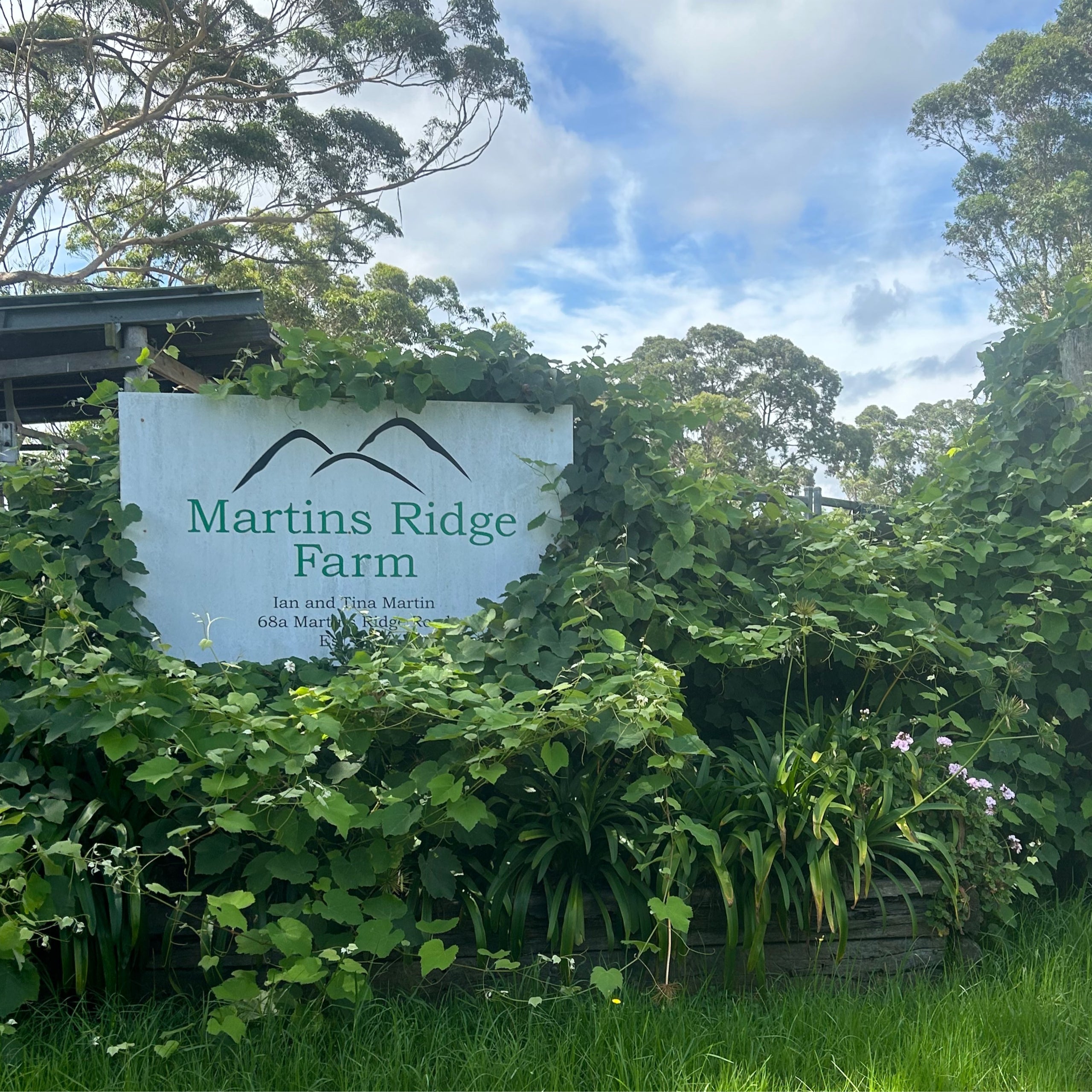 Martins Ridge Farm Charcuterie Tasting & Tutorial | Martins Ridge Farm